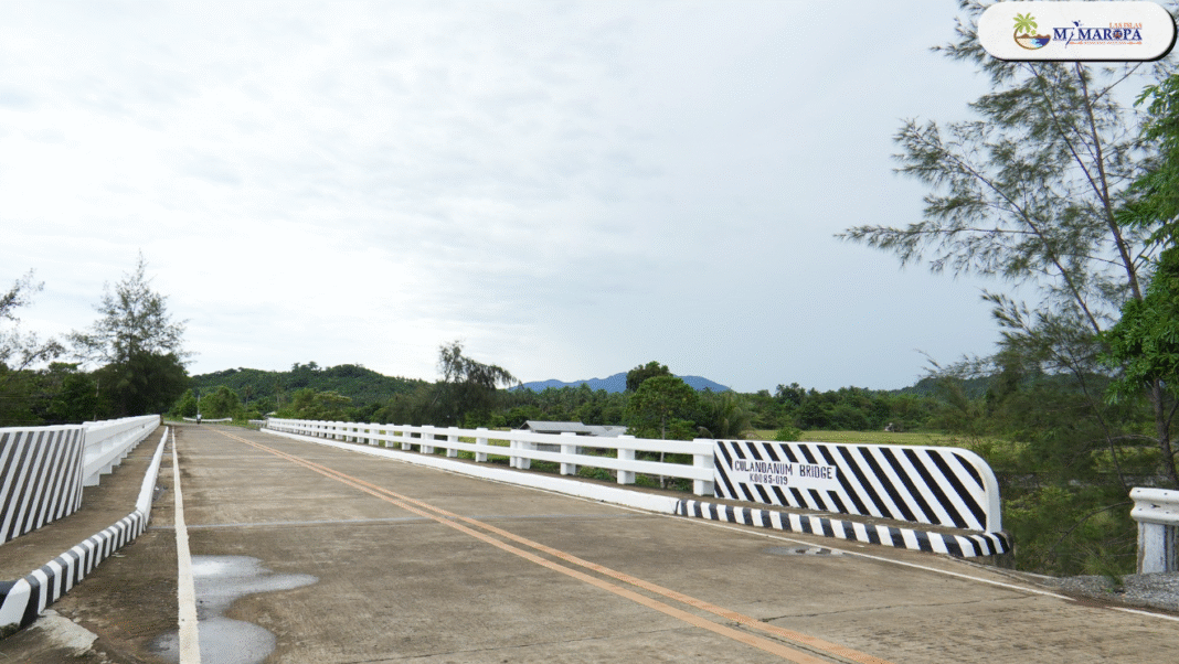 Enhanced Infrastructure Development in Puerto Princesa City, Palawan ...